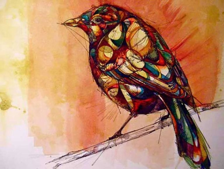 Abby Diamond’s Beautiful Ink And Watercolour Birds | Bird Spot