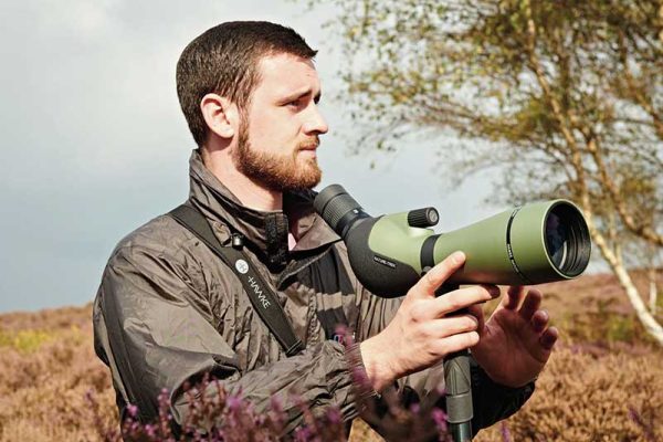 Complete Guide To Bird Watching Hides | Bird Spot